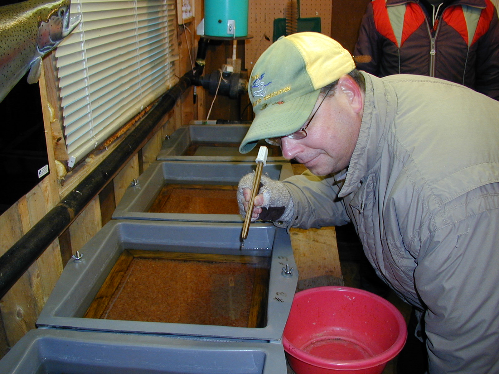Thames River Anglers Association